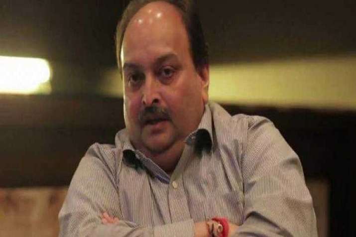 PNB fraud | Will appear if I'm fit to travel: Mehul Choksi tells PMLA ...